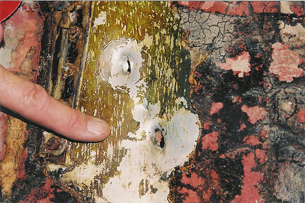 During restoration bullet holes were discovered under the self-sealing ...